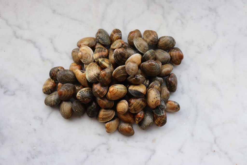 Surf Clams (Spisula Solida)1kg - Sustainable Seafood Ireland